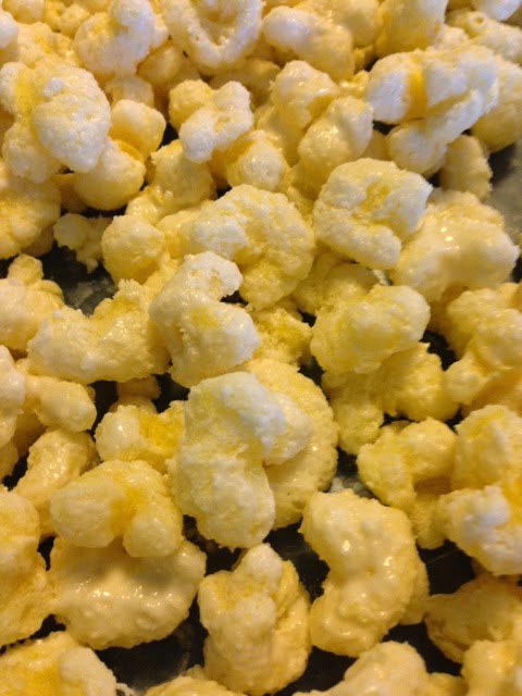 Practically Gourmet: Vanilla Pops